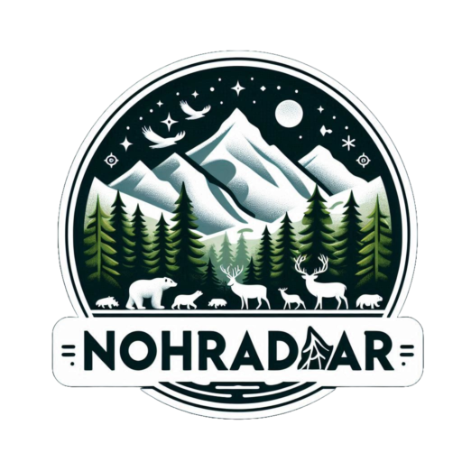 Churdhar trek - Nohradhar