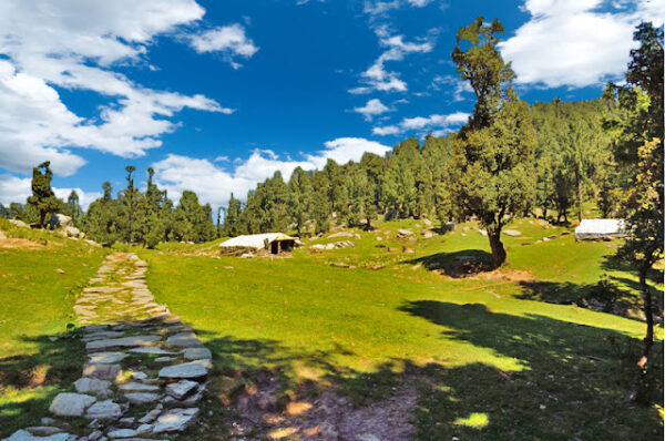 The Ultimate Churdhar Trek Guide: Conquer Himachal's Majestic Peak ...